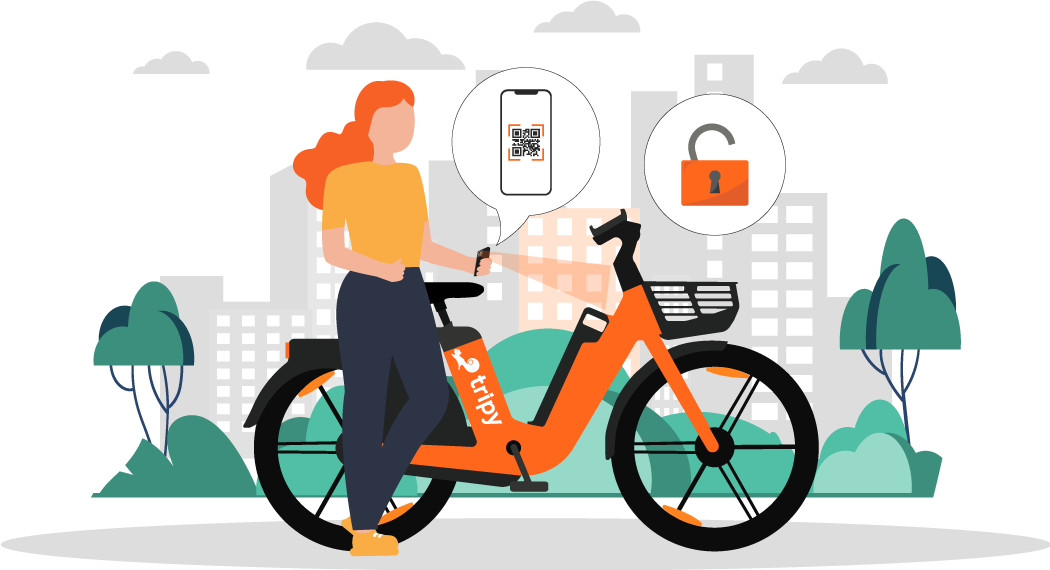 How to use it? — Tripy